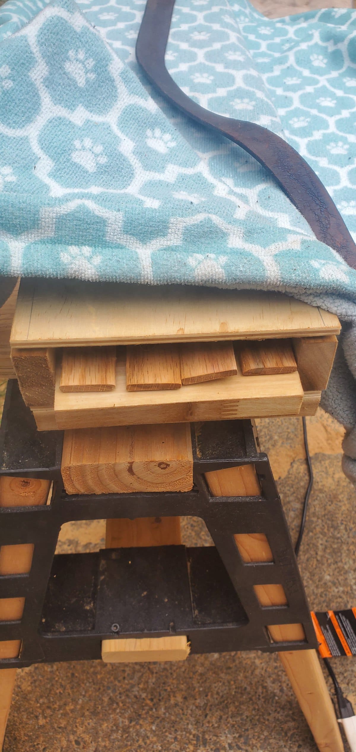 steambox2 – Cape Falcon Kayak :: Student Builds